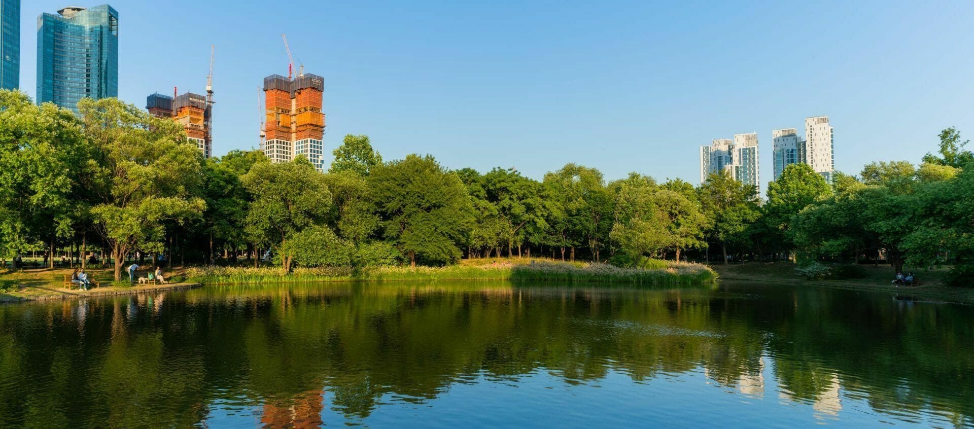 Summer In Seoul Forest
